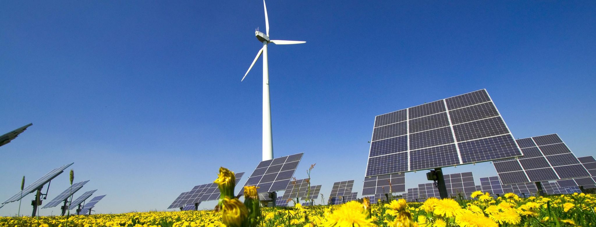 DEFINITION-International Renewable Energy e.V.